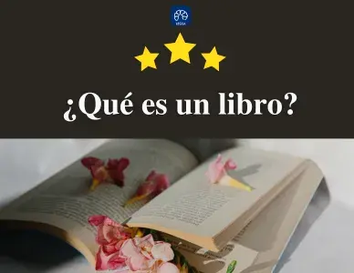 ¿Qué es un libro? | Concepto y Ejemplos